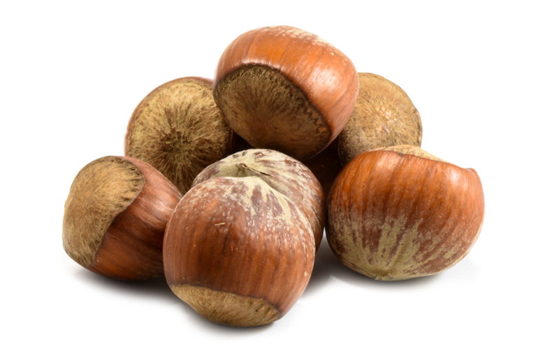 Hazelnuts for Sale — Buy Bulk Filberts at Nutstop.com